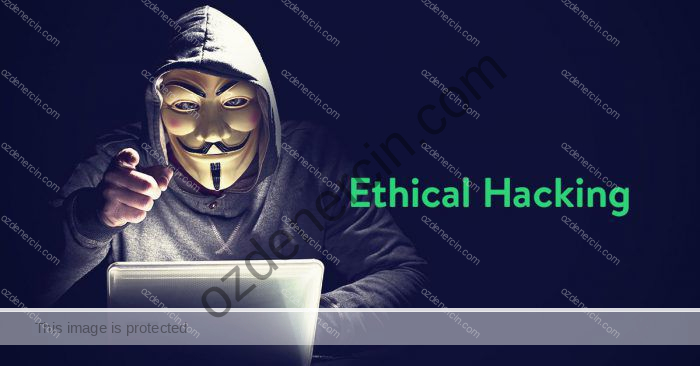 Ethical Rules - Ozden ERCIN - Cyber Security Lab & Blog
